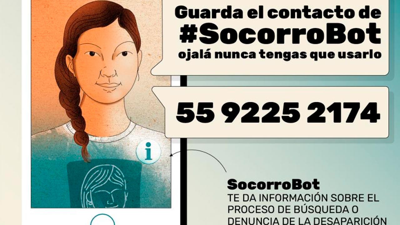 "Socorro bot" el chat de WhatsApp para reportar la desaparición de una persona | Alfa News